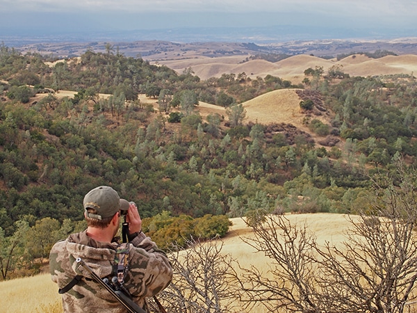 Spot And Stalk Hogs California Style Huntstand