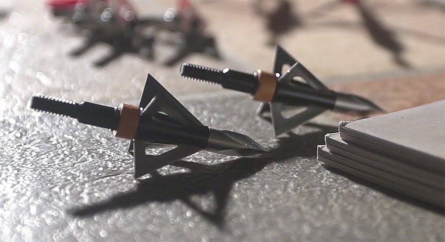 Broadhead Test & Review: Wasp Dart - HuntStand
