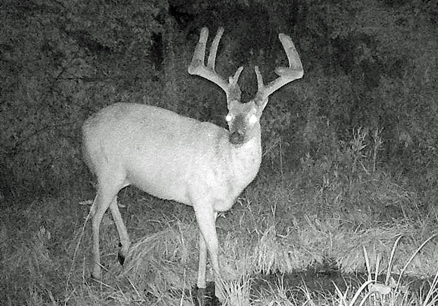 An Eye-Popping PA Buck Emerges [Big Buck HIT LIST] - HuntStand
