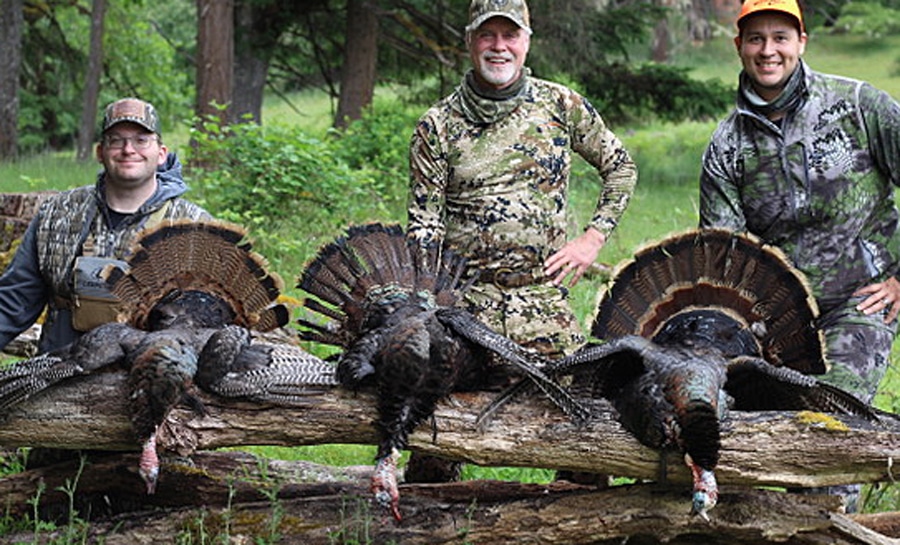 Oregon Turkeys: Closing Out A Stellar Spring Season In Style - HuntStand