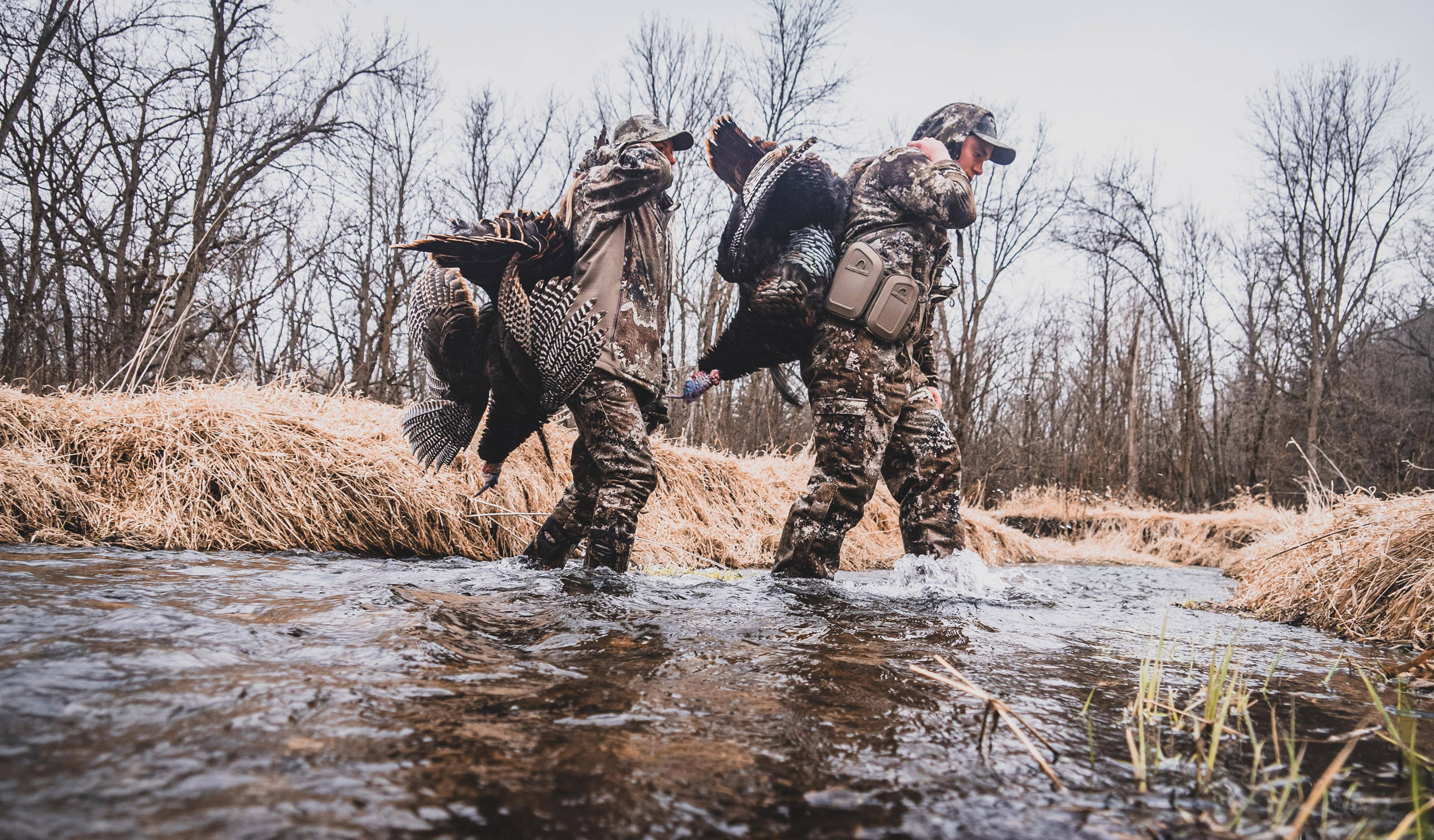 Six Turkeys Down In Minnesota - HuntStand