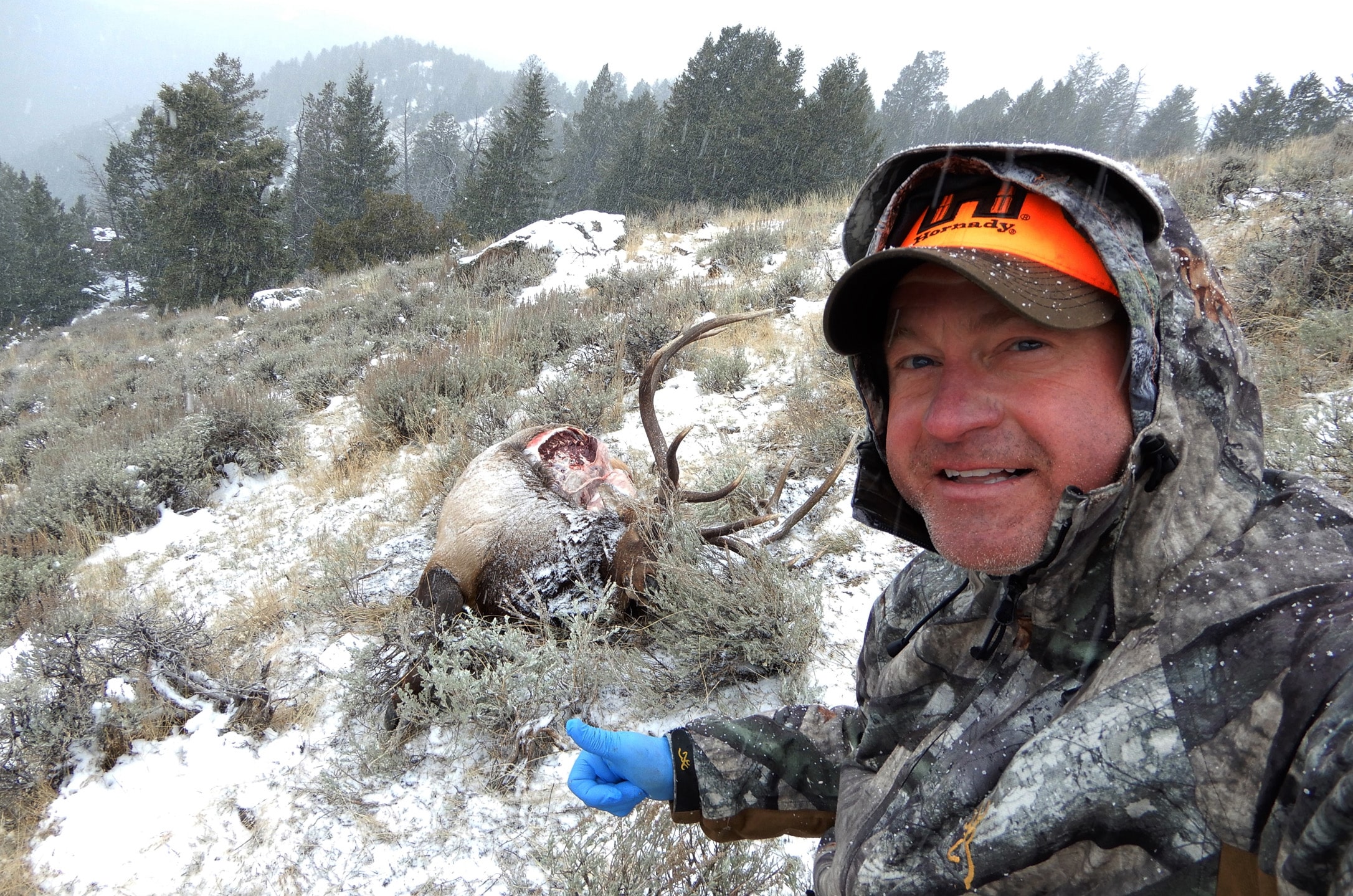 Expert Tips for Choosing a Hunting Knife - HuntStand