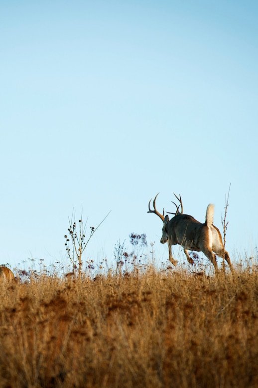 HuntStand Pro Whitetail